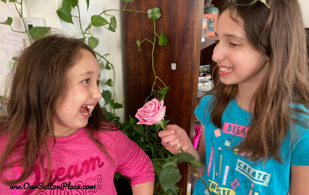 How to Encourage Sibling Kindness with this DIY Sticker Book for Tweens